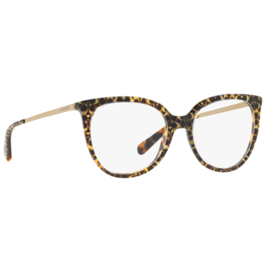 Óculos de grau Coach HC6125 5519 53 | Newlentes