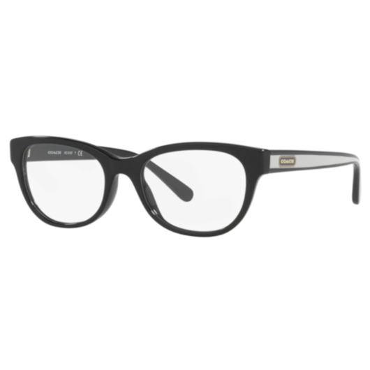 Óculos de grau Coach HC6187 5002 52 | Newlentes