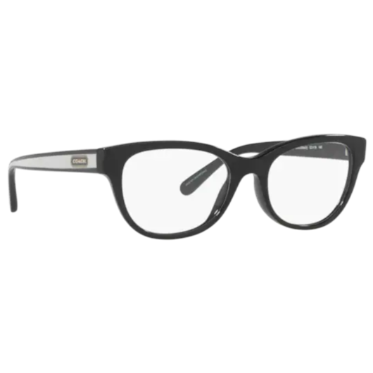Óculos de grau Coach HC6187 5002 52 | Newlentes